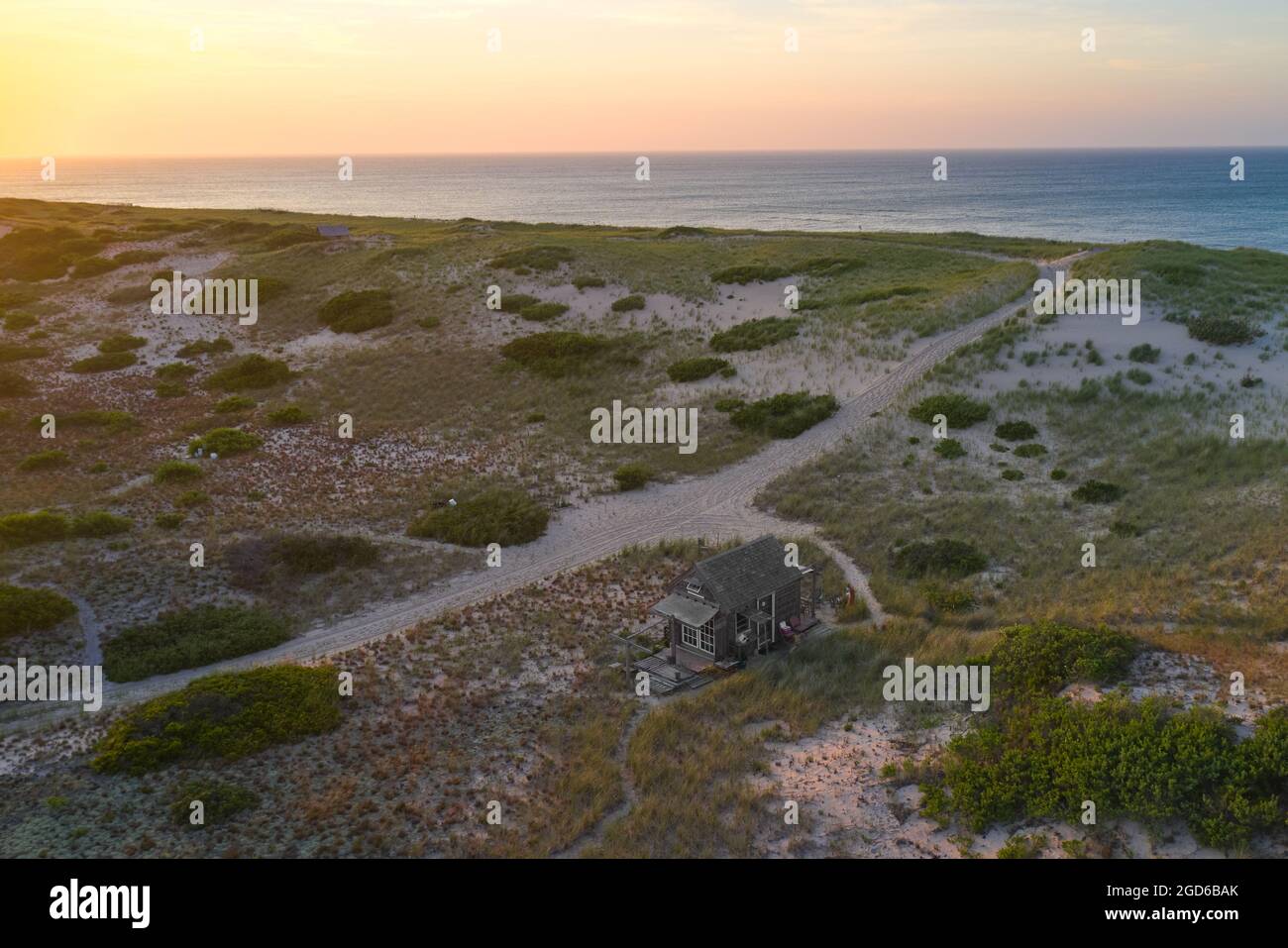 Dune shrubs cape cod hi-res stock photography and images - Alamy