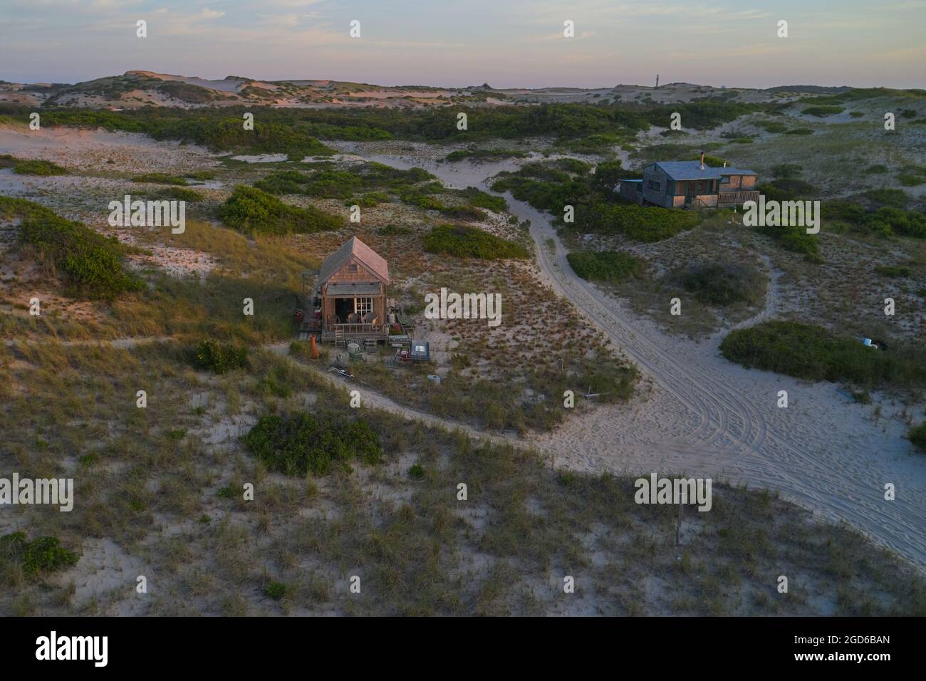 Dune shrubs cape cod hi-res stock photography and images - Alamy