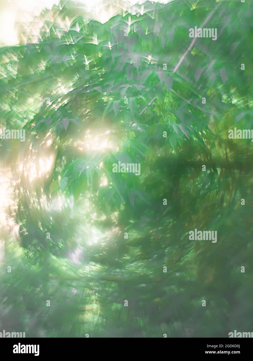 Out of focus swirly bokeh for background. Artistically blurred ...