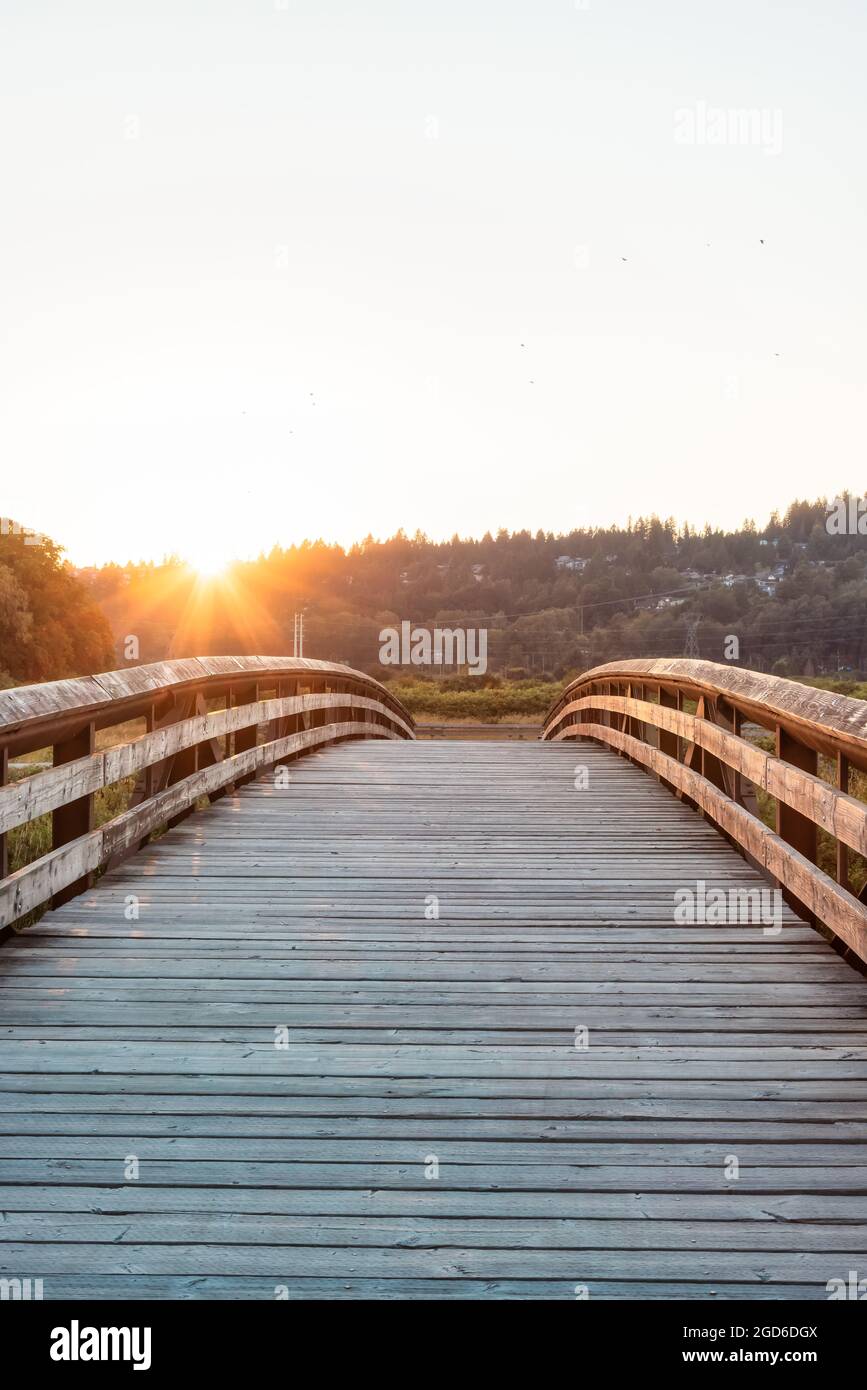 Bridge going over a river in a city park Stock Photo - Alamy