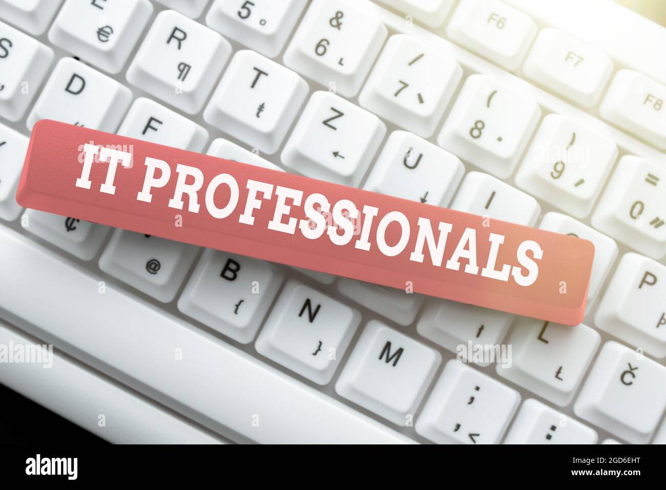 Handwriting text It Professionals. Concept meaning any person ...