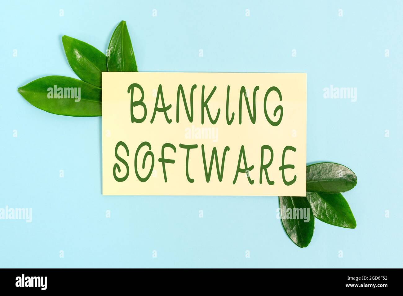 Text showing inspiration Banking Software. Word Written on typically ...