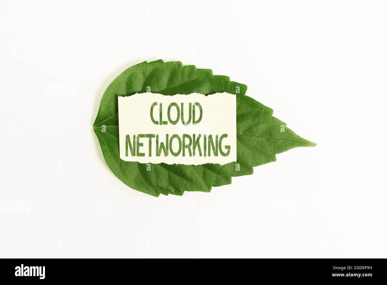 Hand Writing Sign Cloud Networking Business Concept Sourcing And