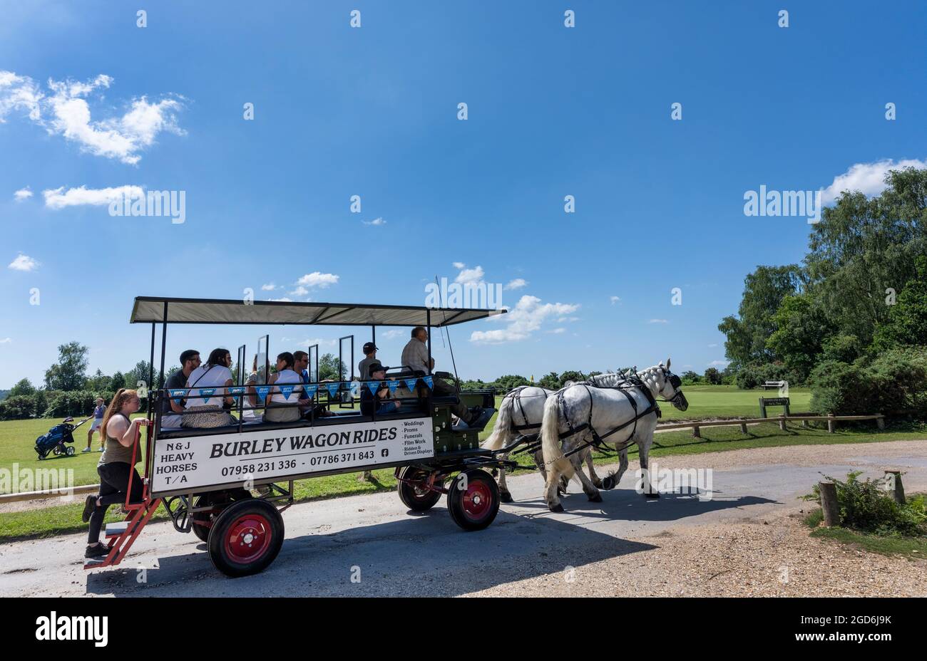New forest burley wagon rides hi-res stock photography and images - Alamy