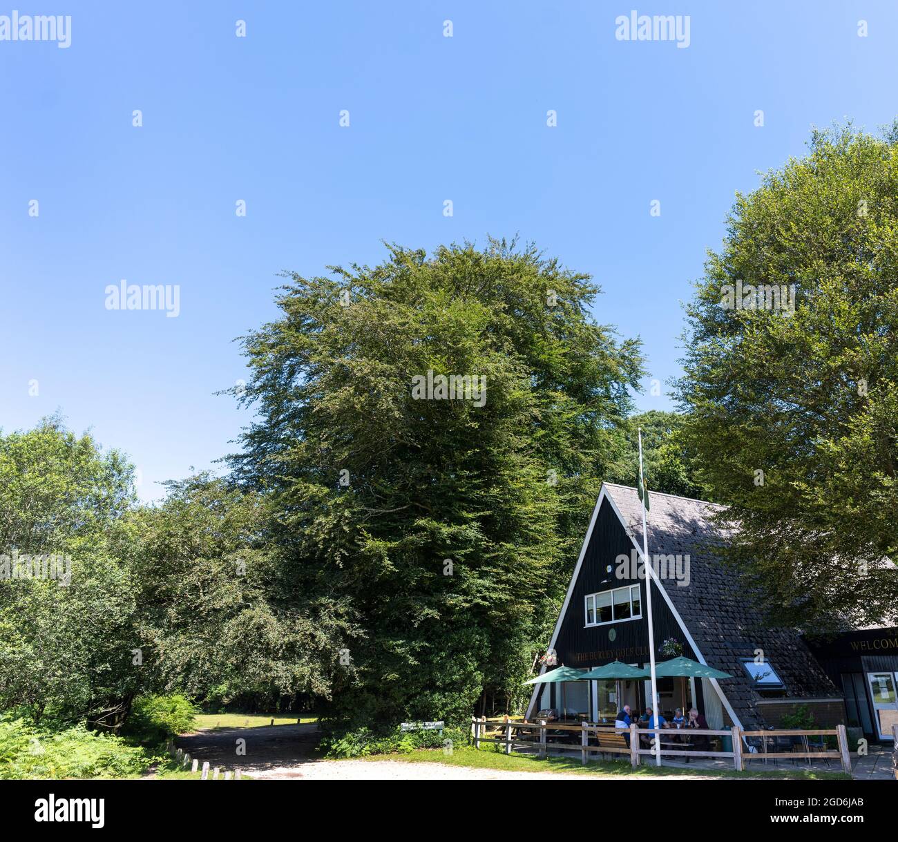 Burley Golf Club, Cott Lane, Burley, New Forest, Hampshire, England, UK ...