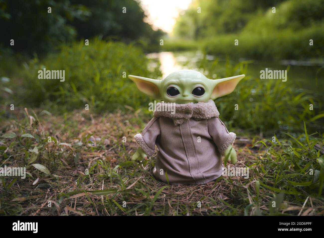 August, 2021: Display of Baby Yoda, an action figures in the forest ...