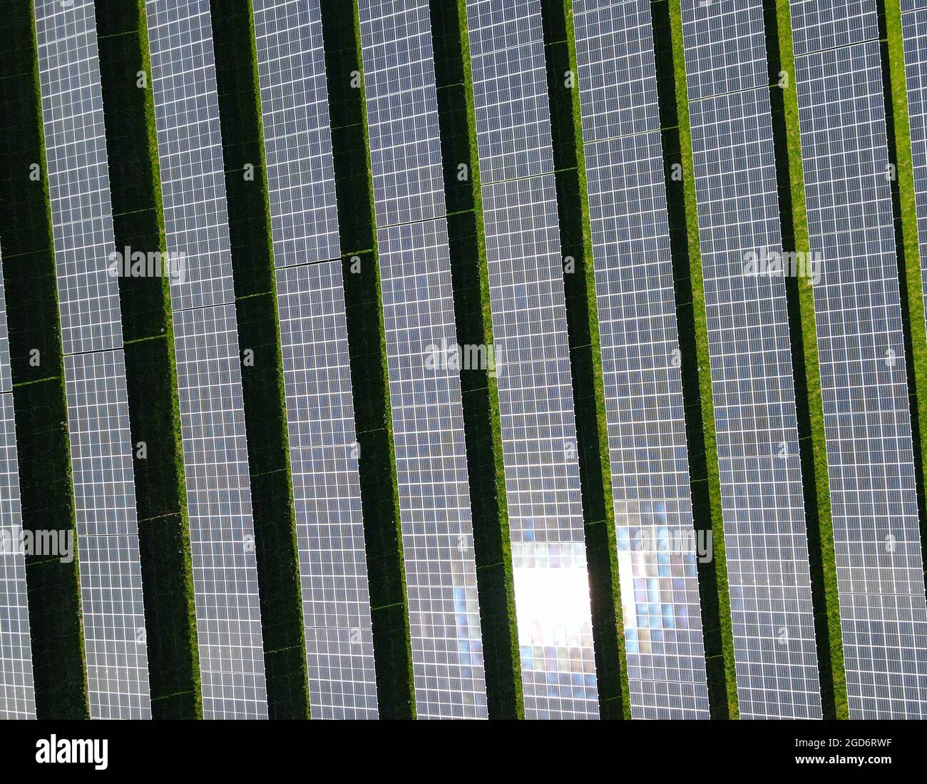 Werneuchen, Germany. 11th Aug, 2021. The EnBW solar park "Weesow ...