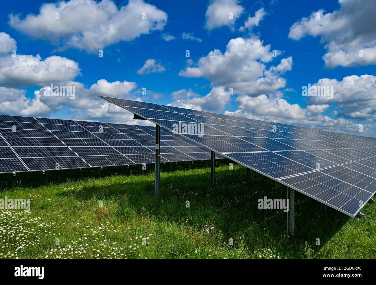 Eeg 2021 hi-res stock photography and images - Alamy