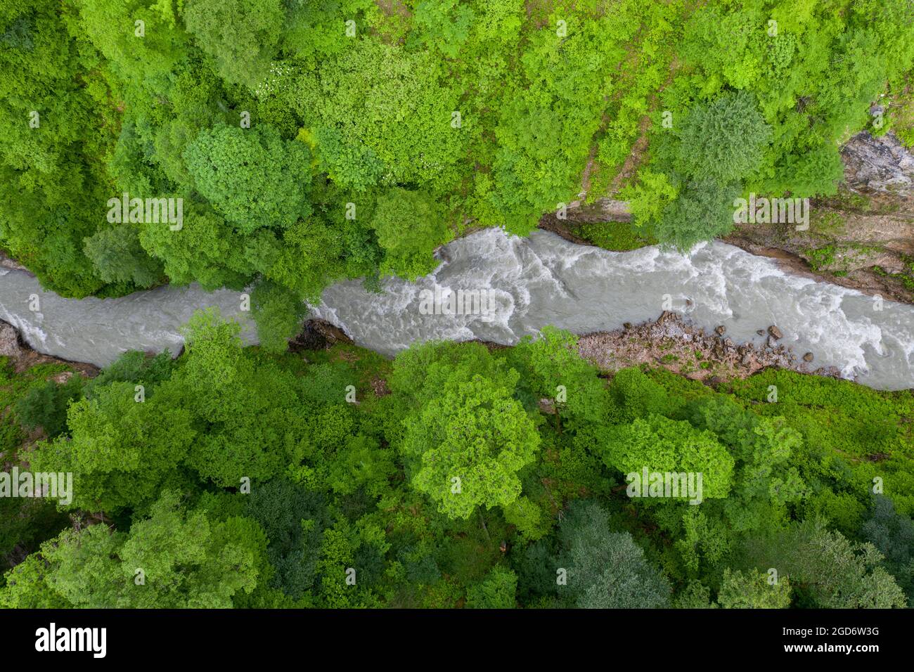 Aerial shot of a river flow route in between the green trees Stock ...