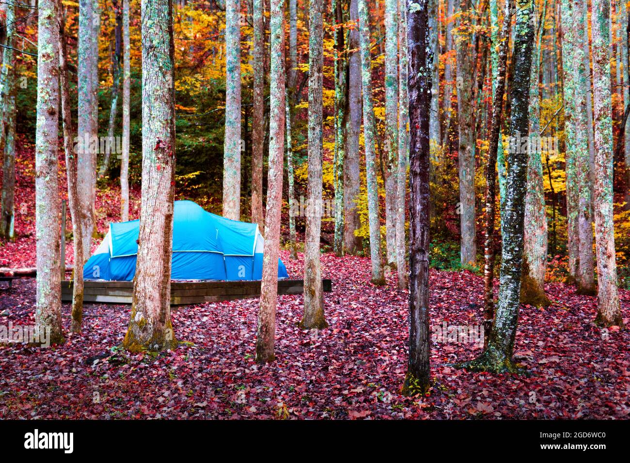 Fall Season Outdoors Camping In Tent Stock Photo - Alamy