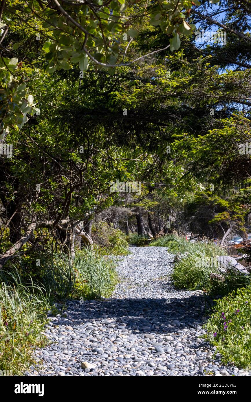 Lovely treed path along the beach at French Beach Provincial Park ...