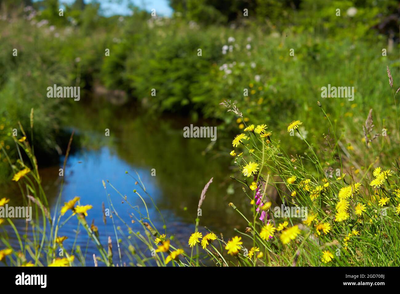 Idyllic river landscape in hi-res stock photography and images - Alamy