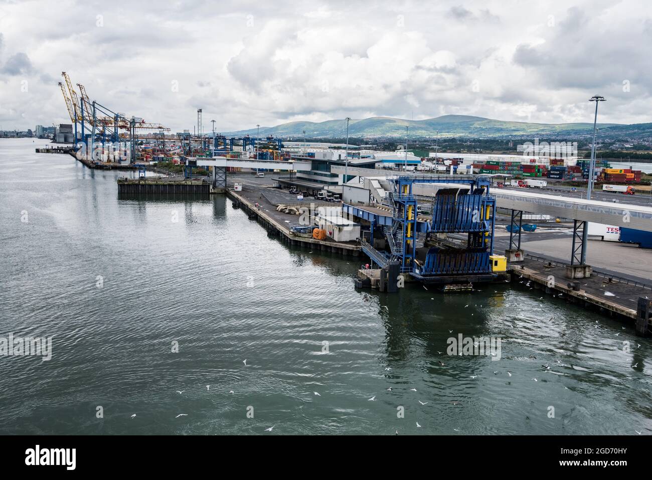 At the cairnryan ferry terminal hi-res stock photography and images - Alamy
