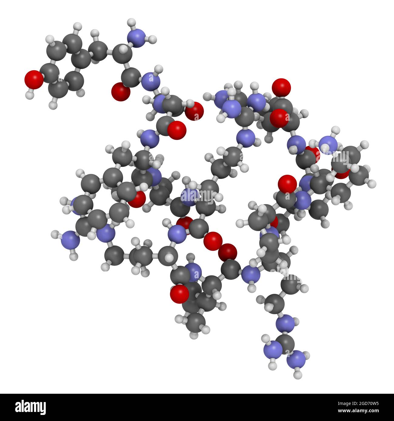 Dynorphin a endogenous opioid peptide molecule. 3D rendering Stock ...