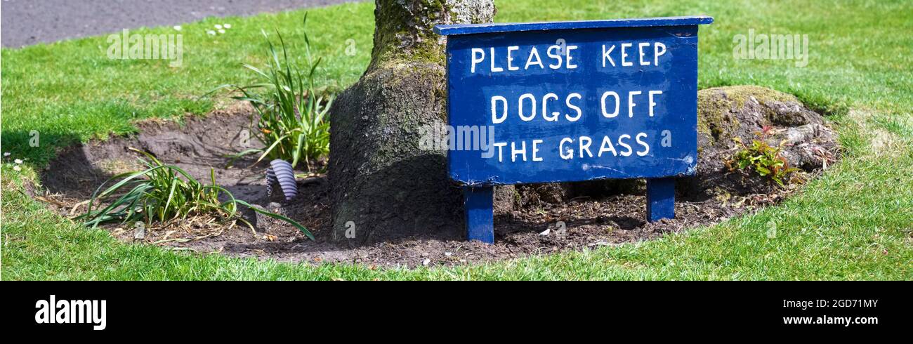 How To Keep Dogs Off Garden