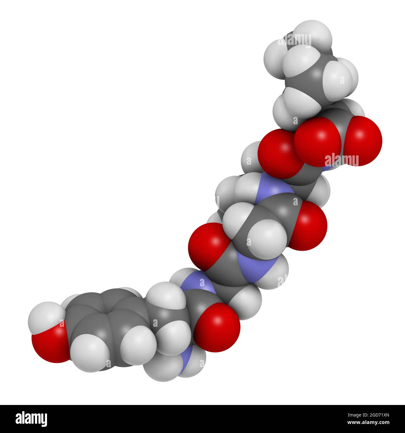 Leu-enkephalin endogenous opioid peptide molecule. 3D rendering Stock ...