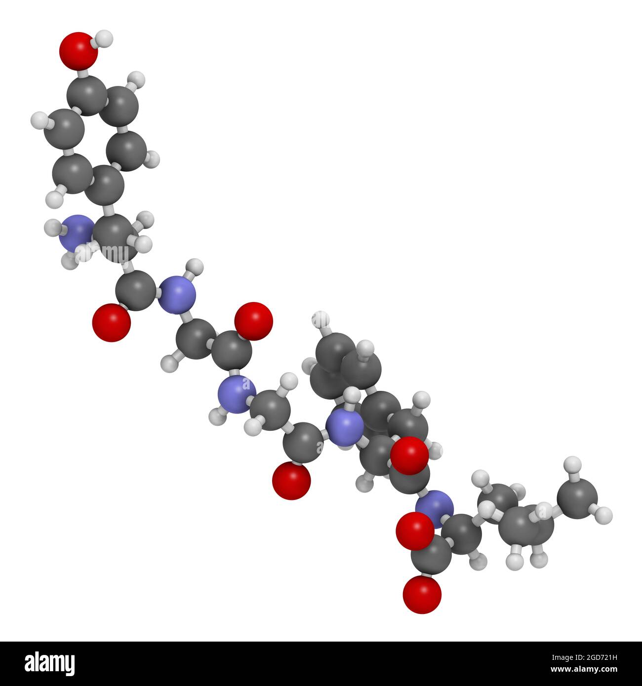 Leu-enkephalin endogenous opioid peptide molecule. 3D rendering Stock ...