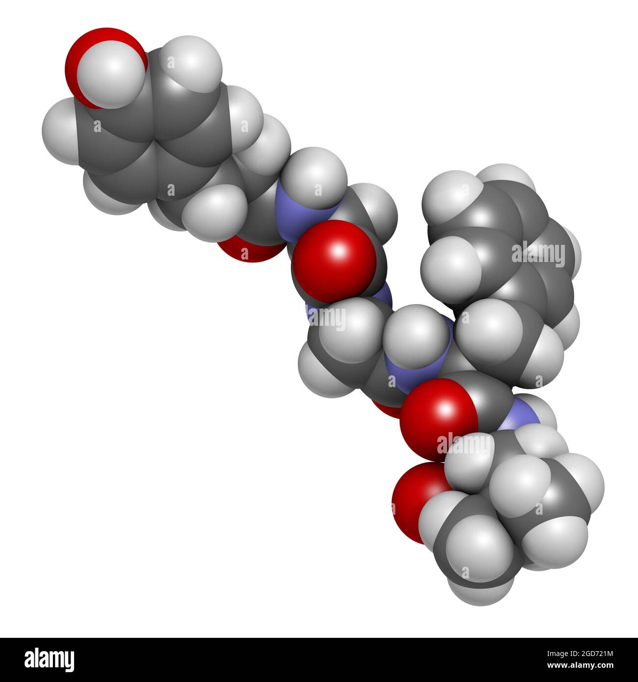 Leu-enkephalin endogenous opioid peptide molecule. 3D rendering Stock ...