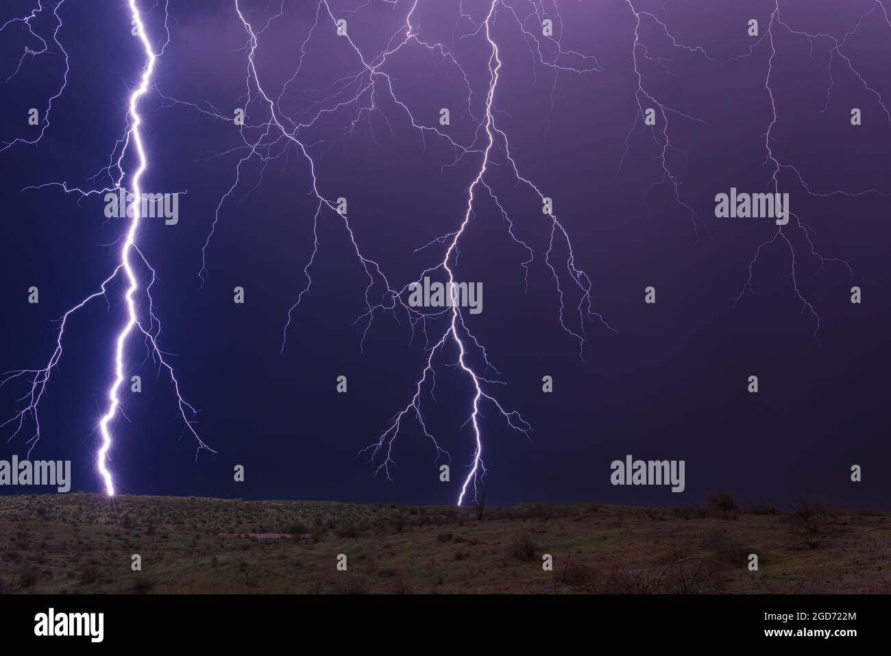 Lightning Strike Tree High Resolution Stock Photography and Images - Alamy