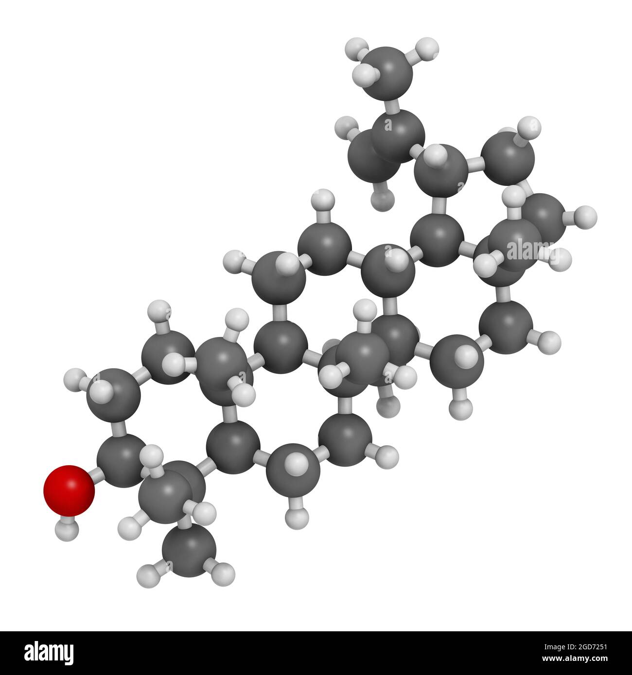 Lupeol molecule. 3D rendering. Atoms are represented as spheres Stock ...