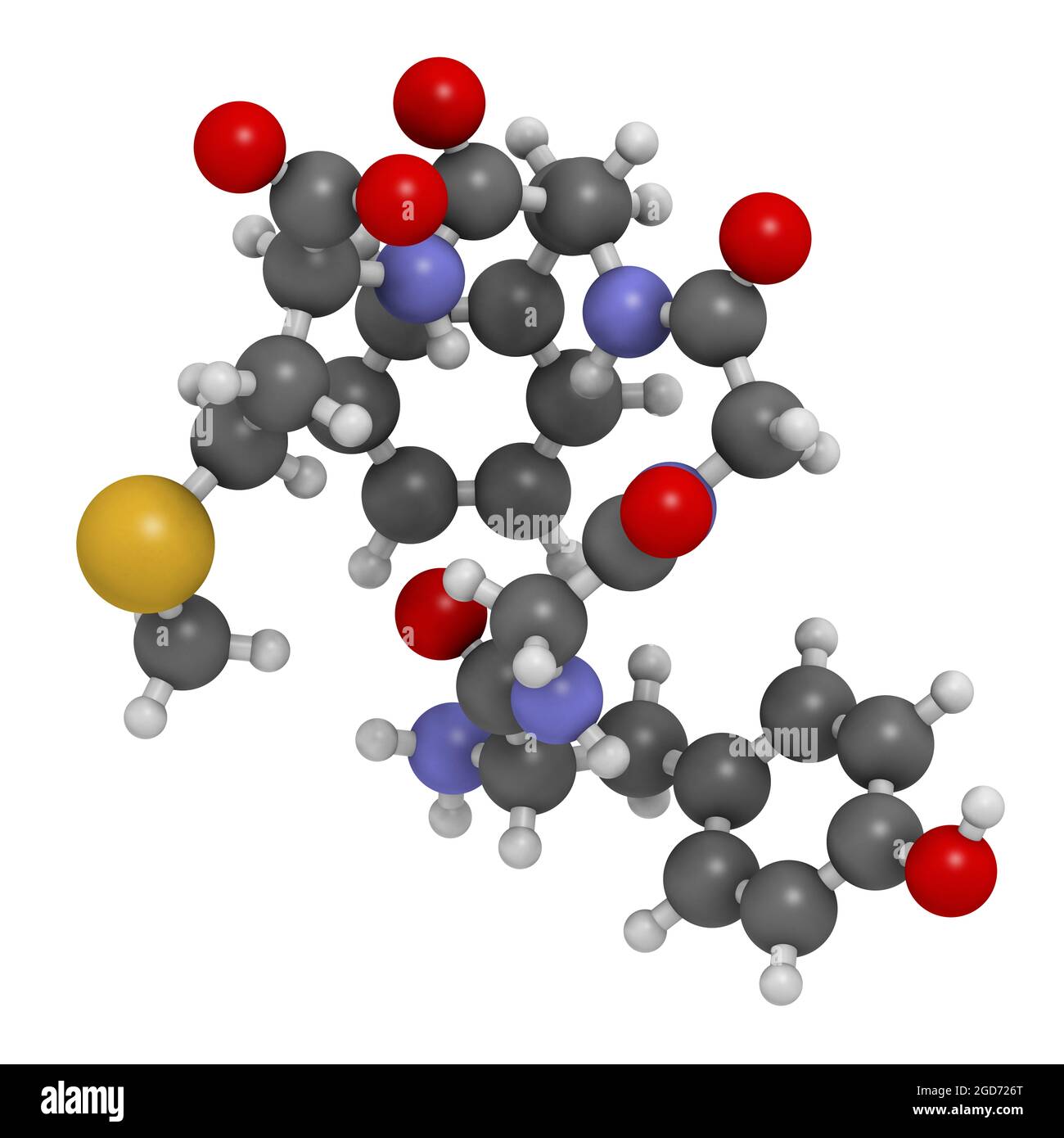 Endogenous growth hi-res stock photography and images - Alamy