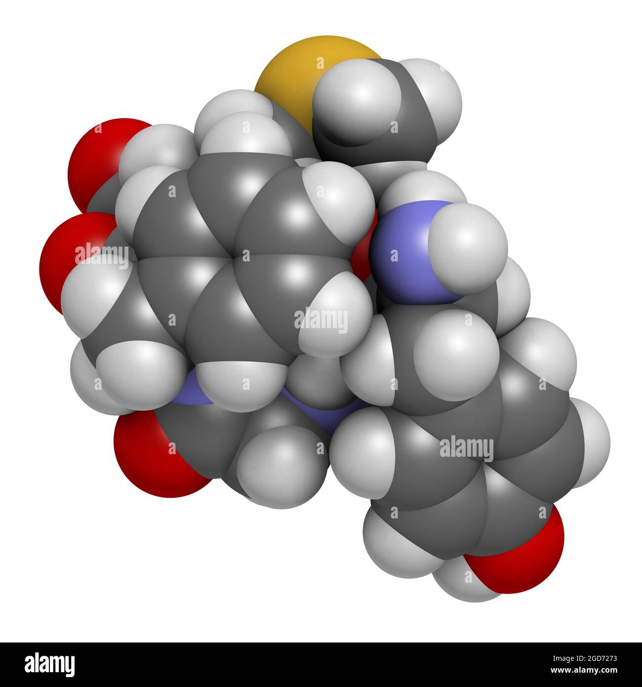 Endogenous growth hi-res stock photography and images - Alamy