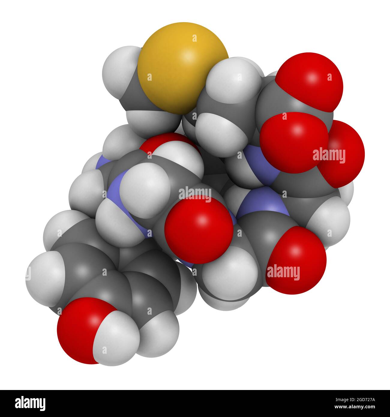Met-enkephalin endogenous opioid peptide molecule. 3D rendering Stock ...