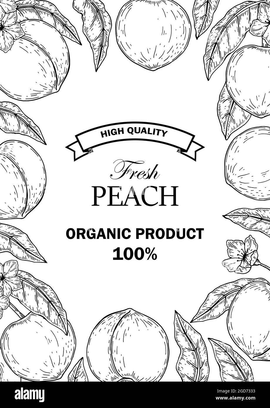 Hand drawn peach design. Vector illustration in sketch style Stock ...