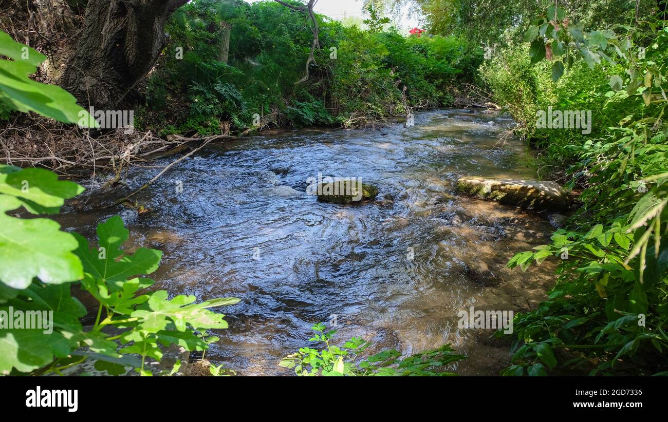 Lydia bible hi-res stock photography and images - Alamy