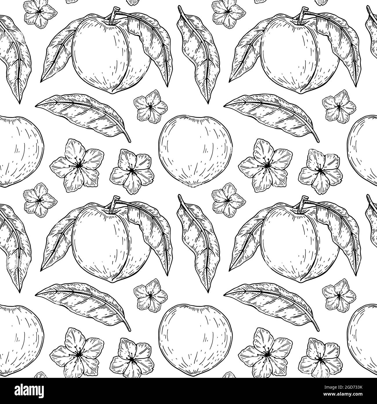 Hand drawn peach seamless pattern. Vector illustration Stock Vector ...