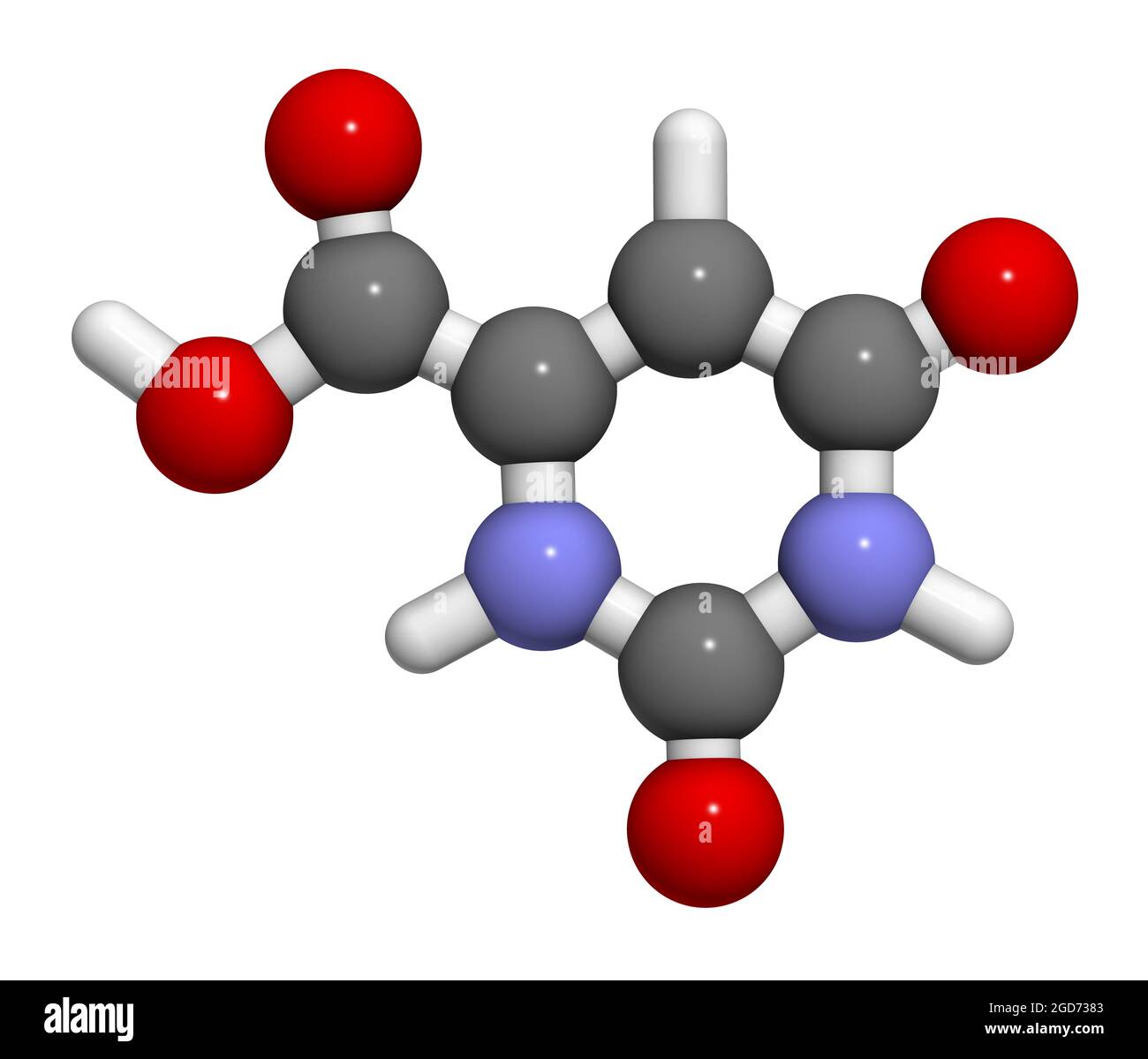 Orotic acid molecule. 3D rendering Stock Photo - Alamy