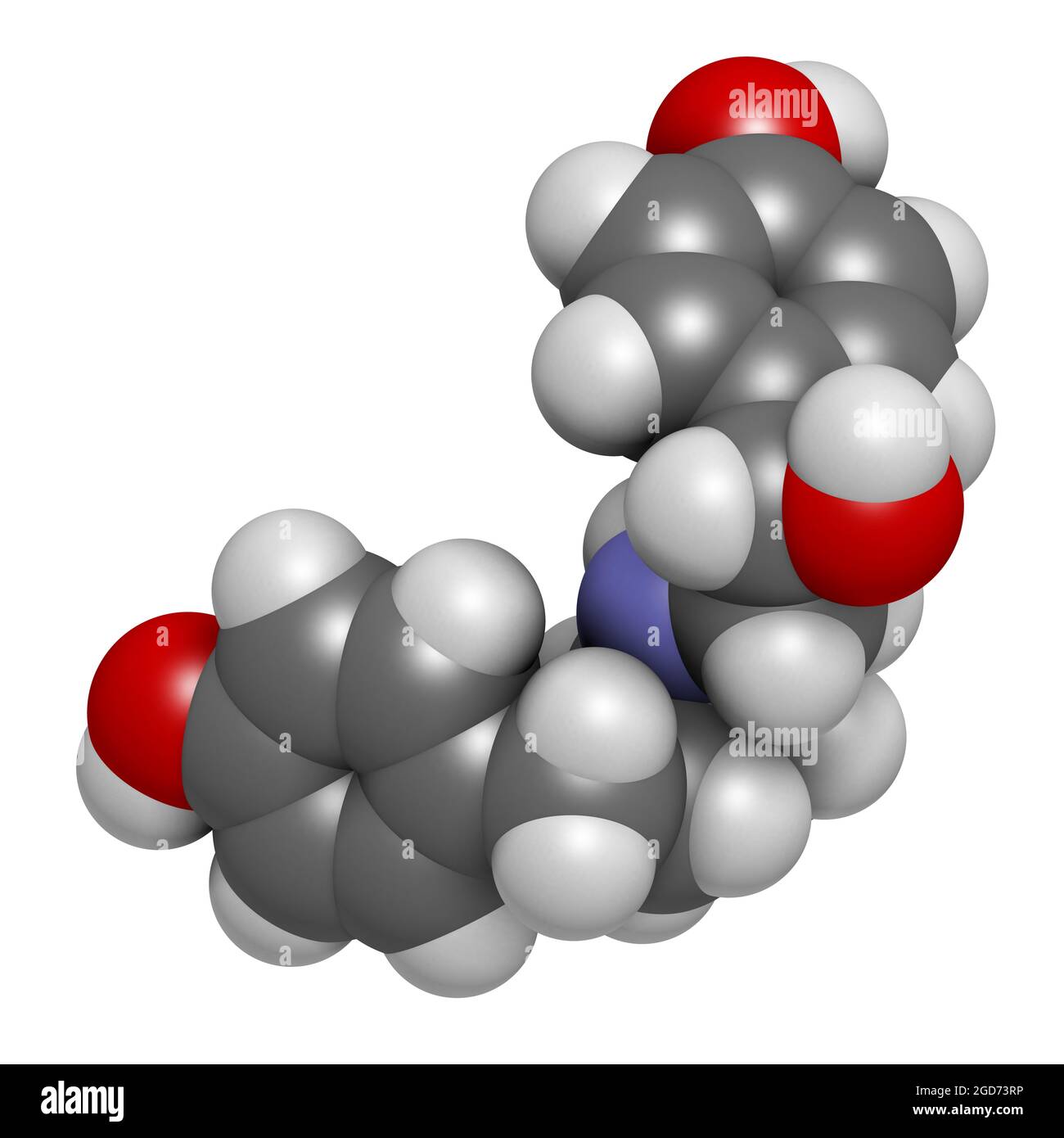 Ractopamine feed additive molecule. 3D rendering Stock Photo - Alamy