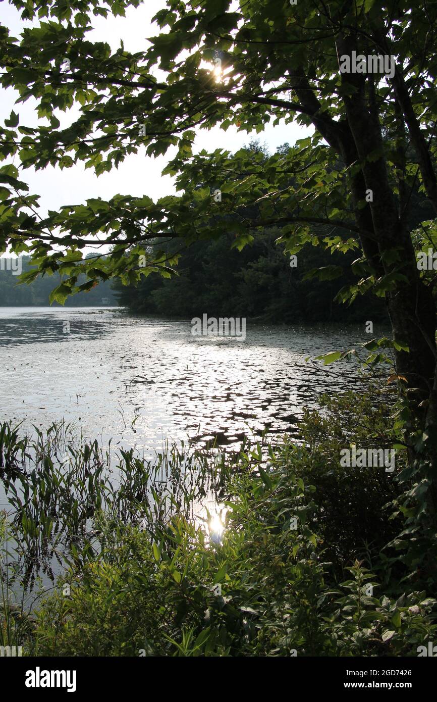 The Big Lake at Moosic Lakes Stock Photo - Alamy