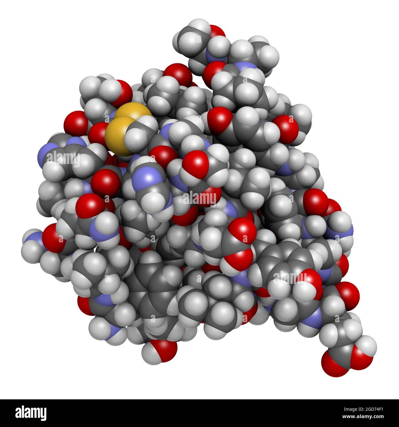 Glycogen molecule hi-res stock photography and images - Alamy