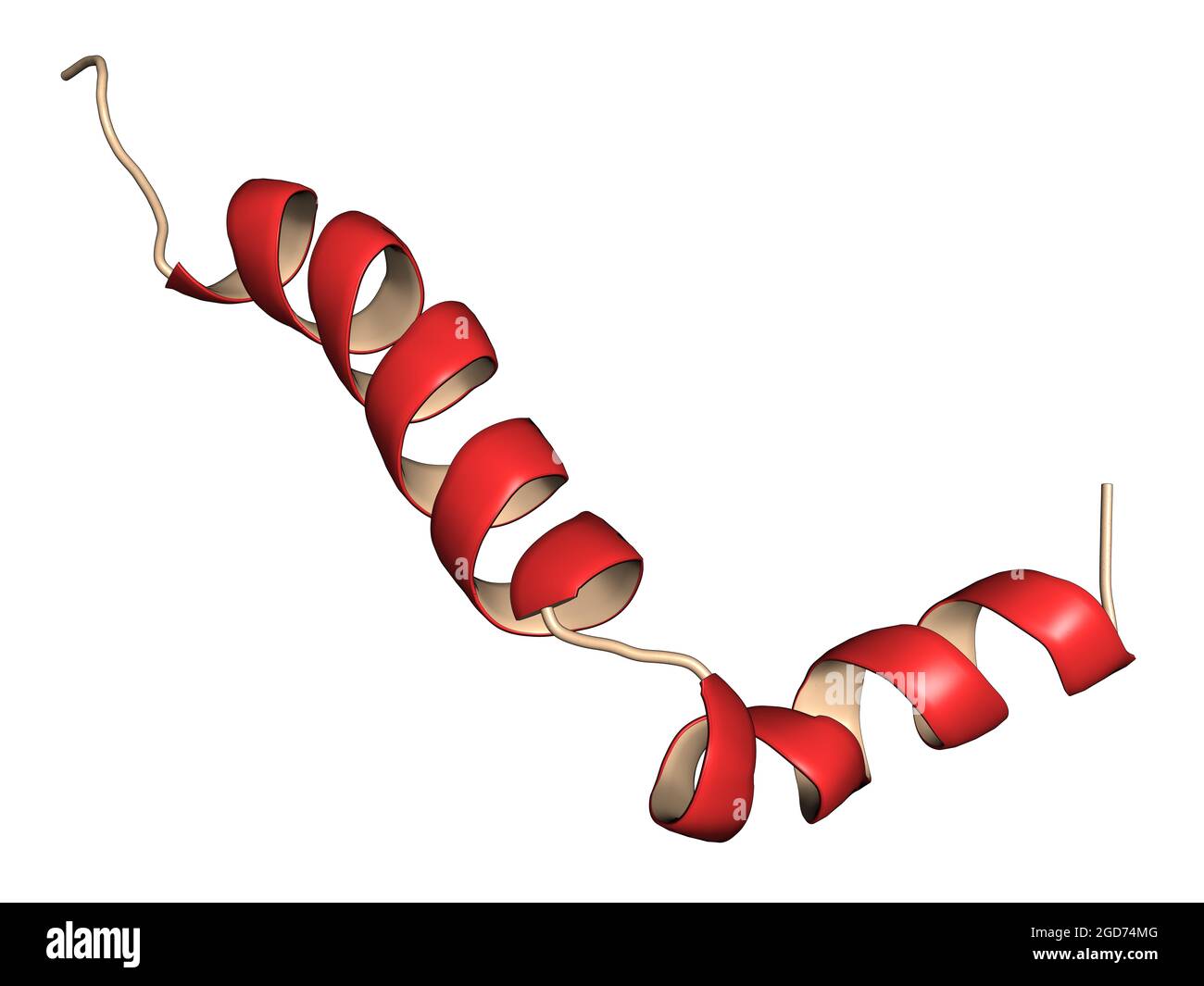 Beta-amyloid (Abeta) peptide, 3D rendering. Major component of p Stock ...