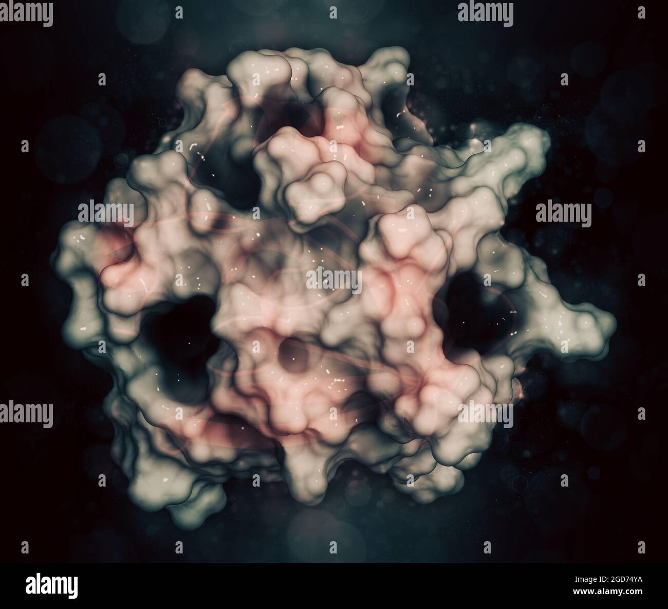 Bovine beta-lactoglobulin protein, 3D structure Stock Photo - Alamy