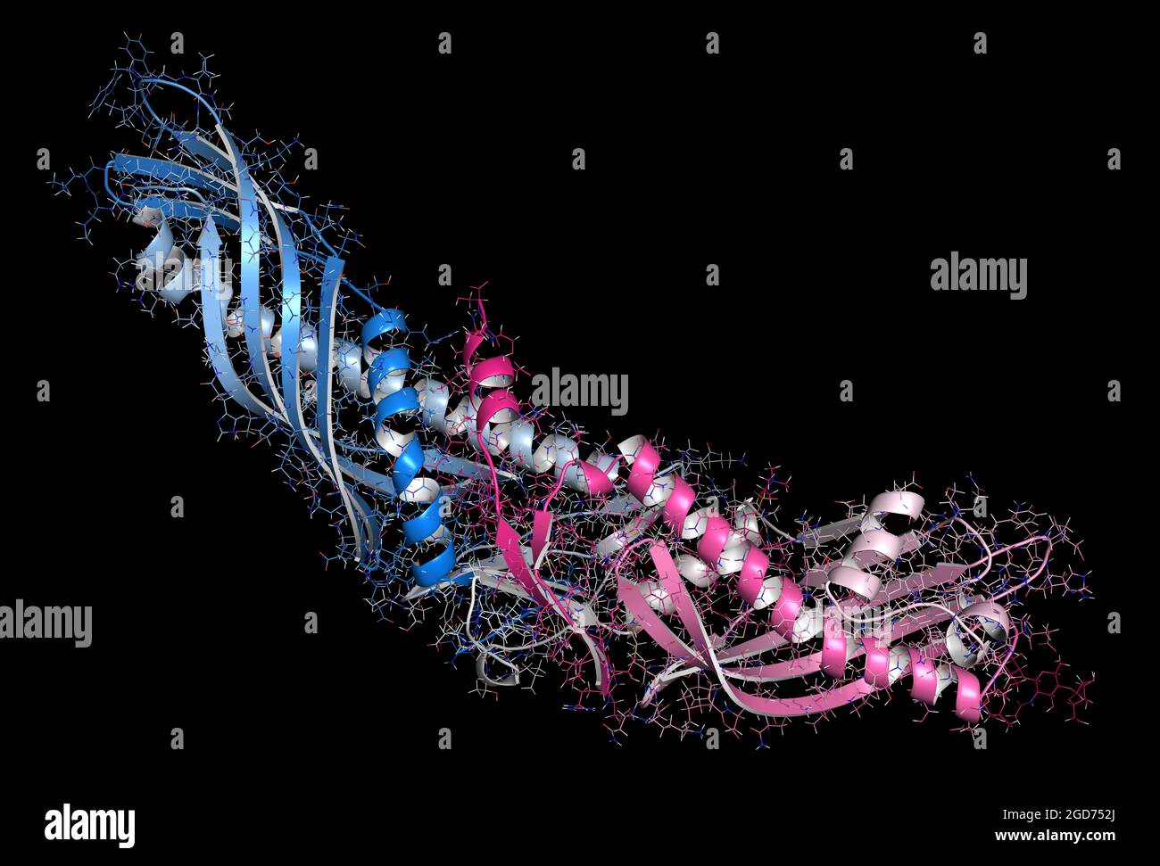 Cholesteryl ester transfer protein (CETP), 3D rendering Stock Photo - Alamy