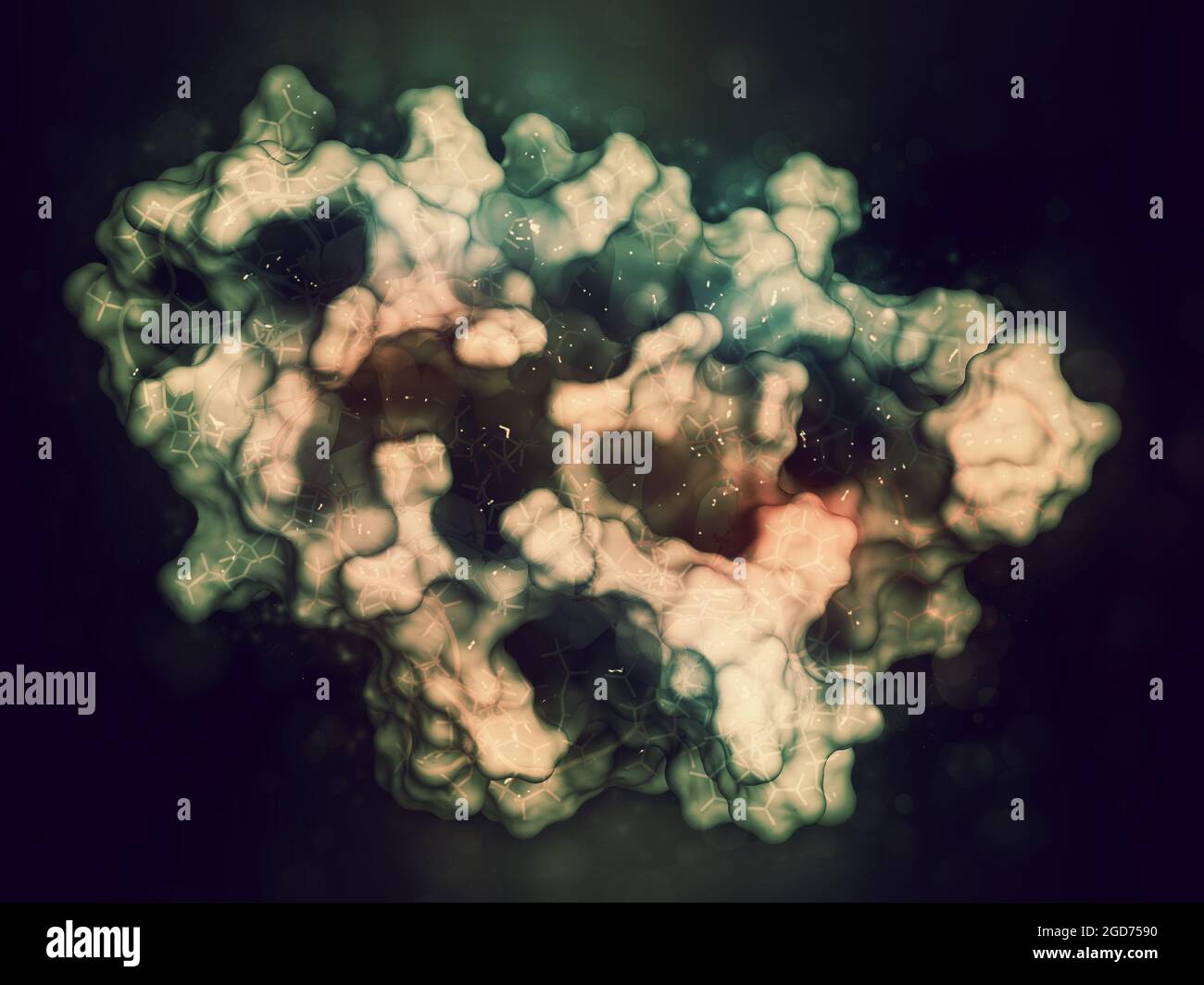 Erythropoietin (human EPO, epoetin) protein hormone, 3D render Stock ...