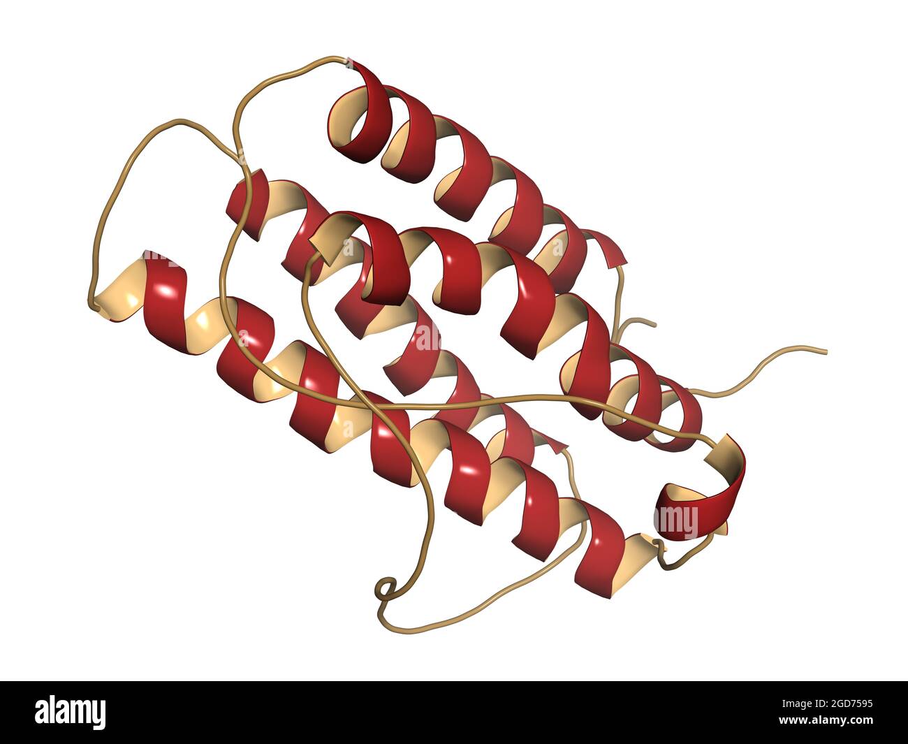 Erythropoietin (human EPO, epoetin) protein hormone, 3D render Stock ...