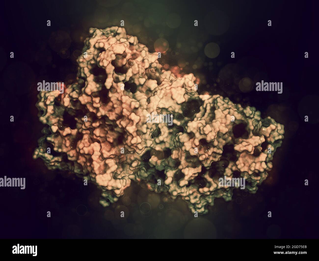 Gamma secretase hi-res stock photography and images - Alamy