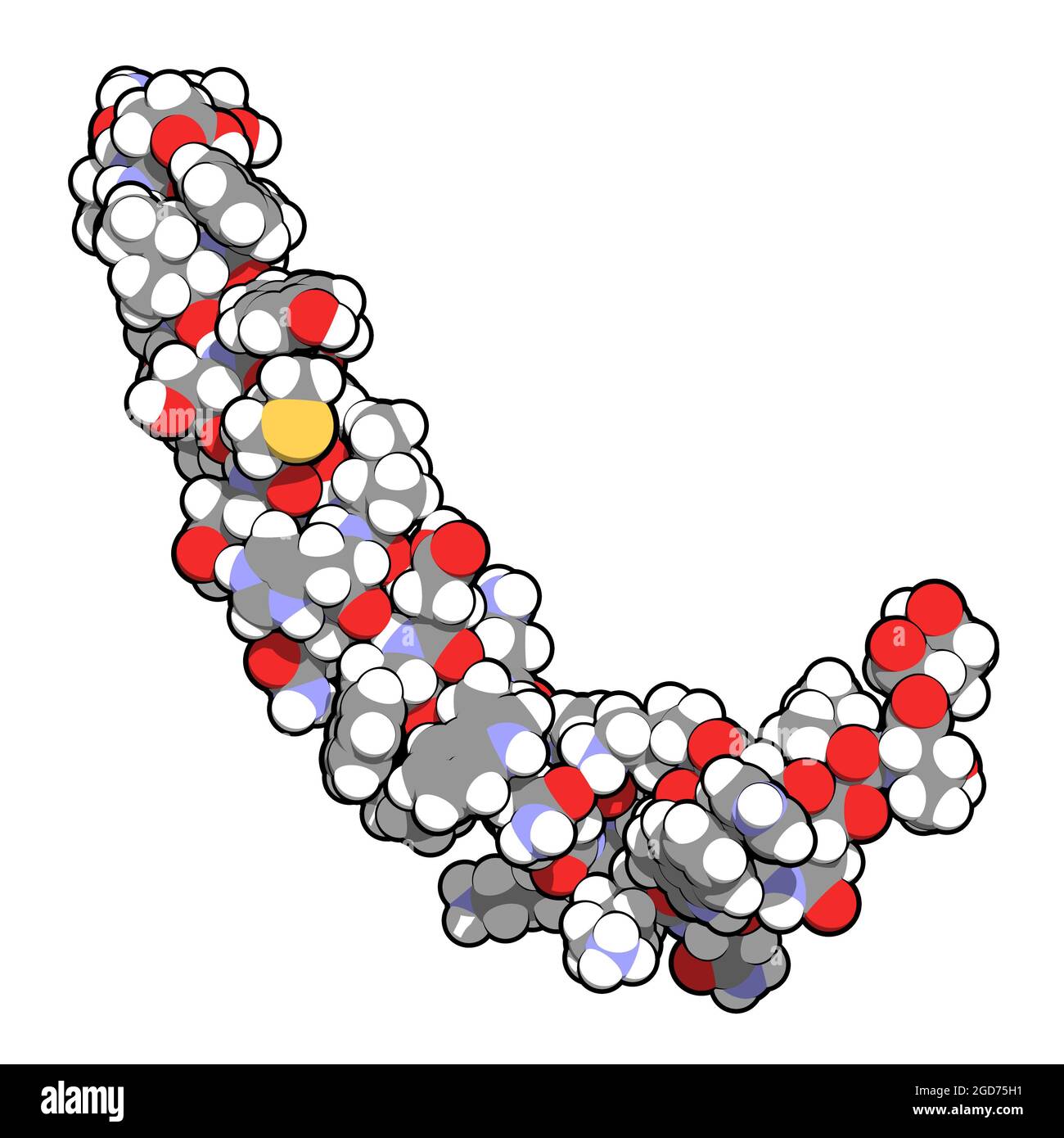 Gastric inhibitory polypeptide (GIP, glucose-dependent insulinot Stock ...