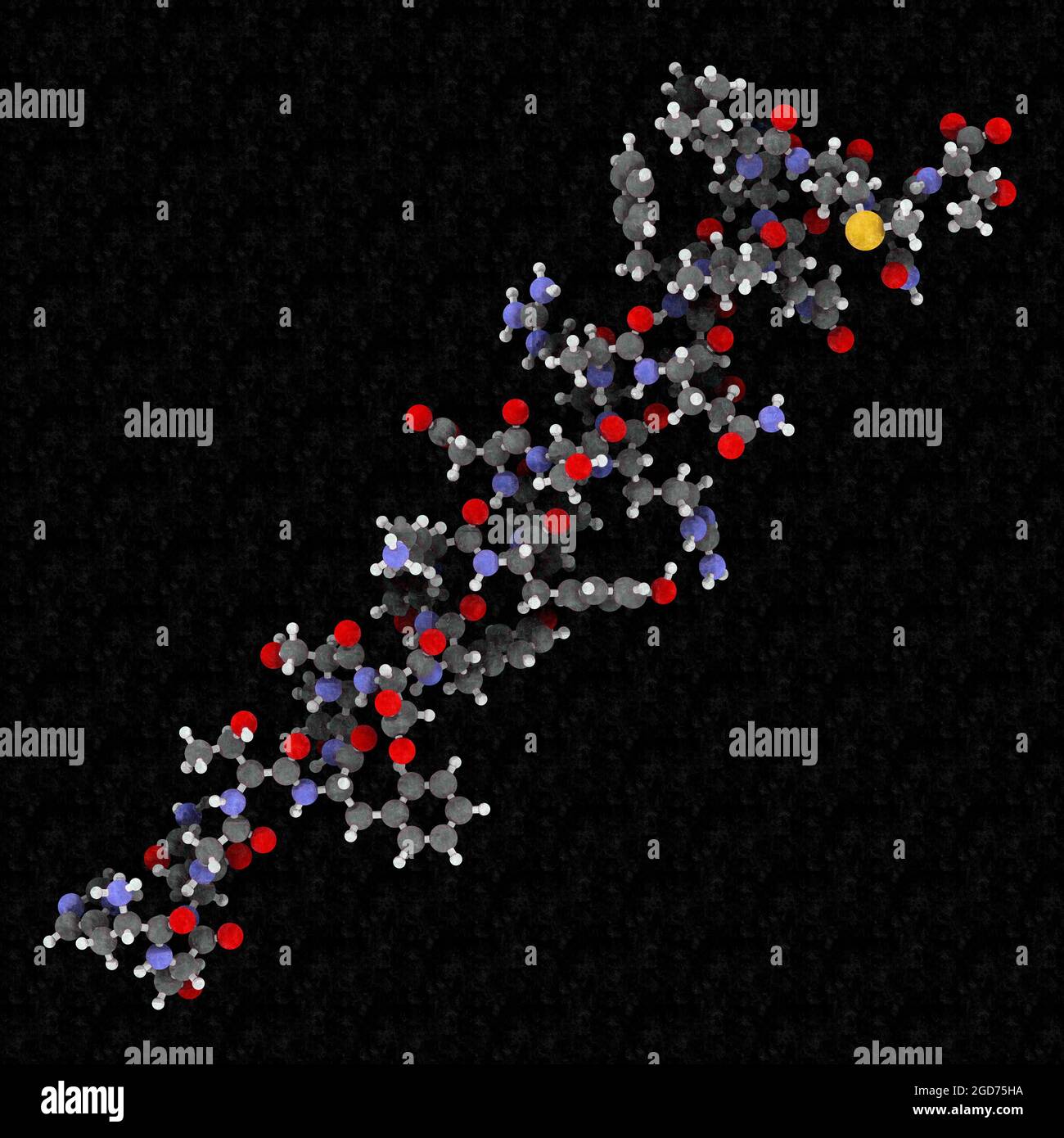 Glucagon peptide hormone. 3D render Stock Photo - Alamy