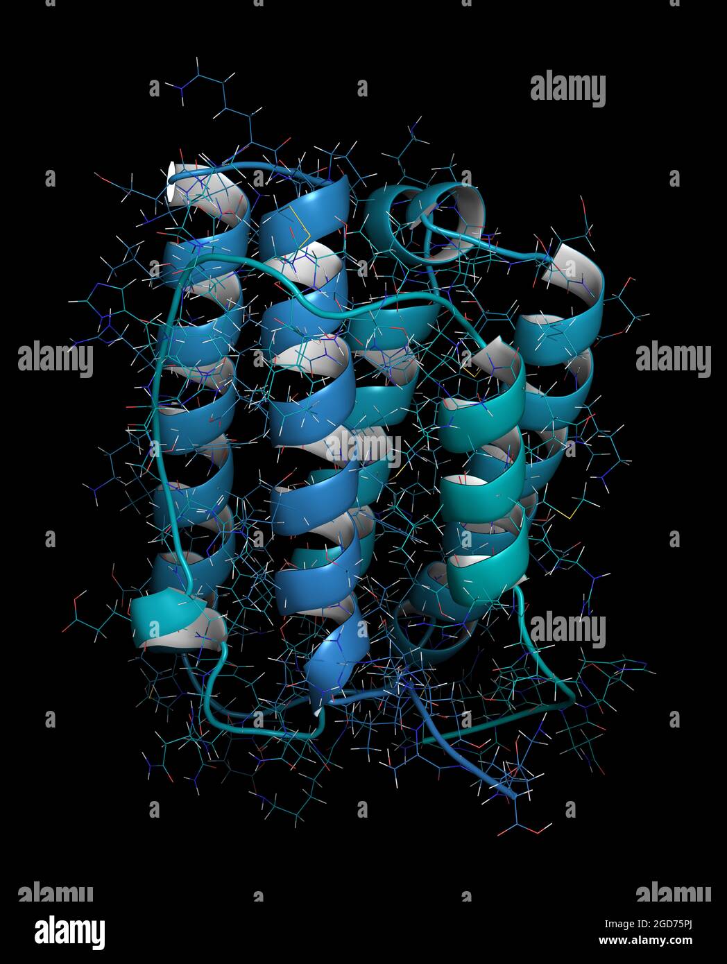Interferon alpha 2a (IFNA2) molecule, 3D rendering Stock Photo - Alamy