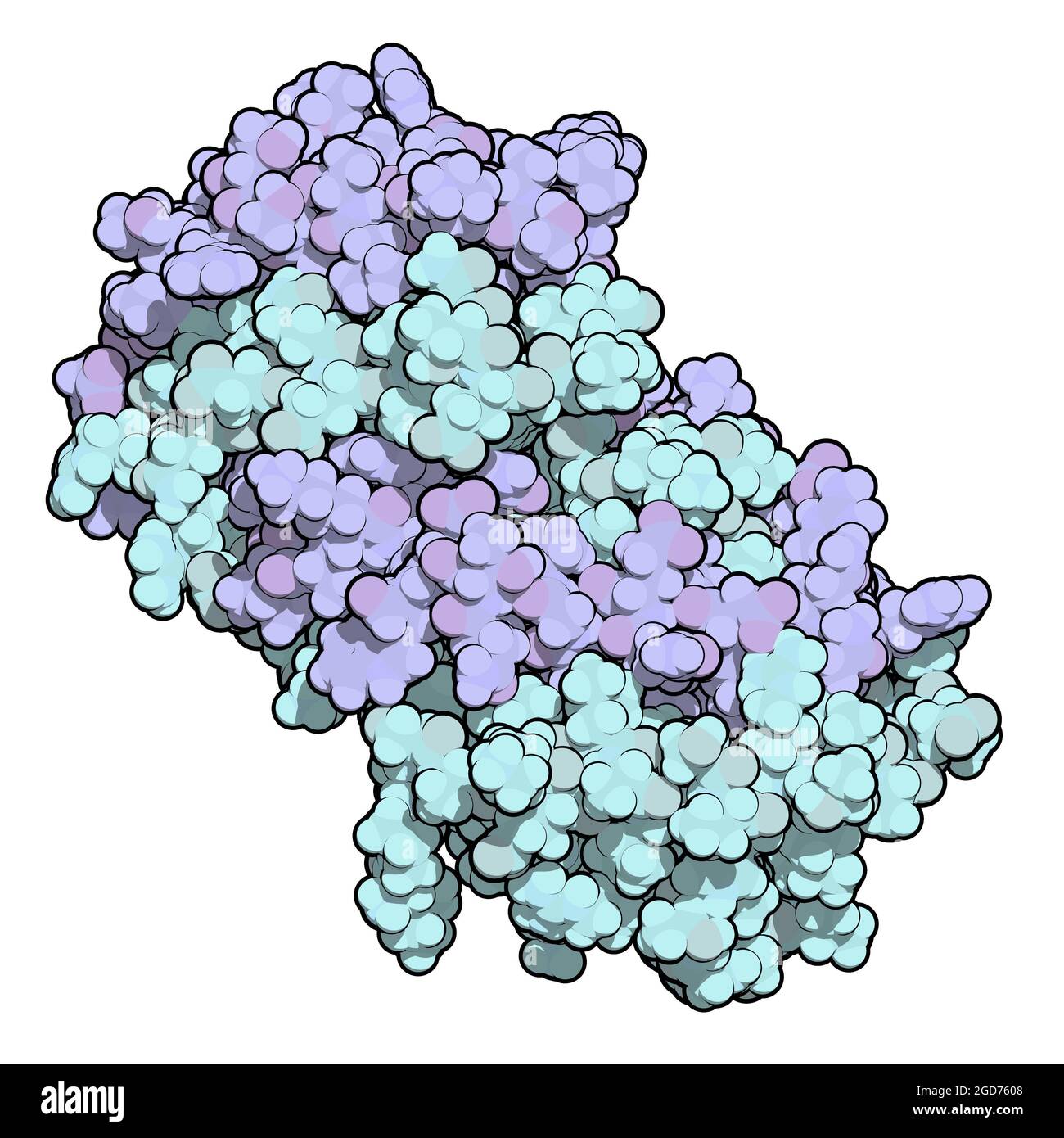 Interleukin 5 (IL-5) cytokine protein. 3D Illustratoin Stock Photo - Alamy