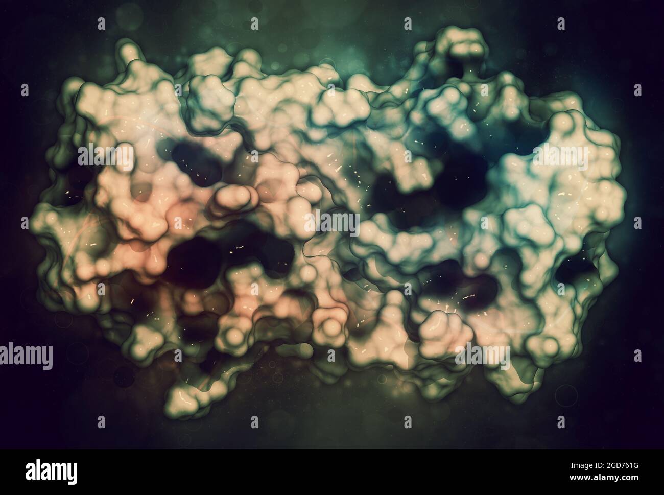 Interleukin 5 (IL-5) cytokine protein. 3D Illustration Stock Photo - Alamy