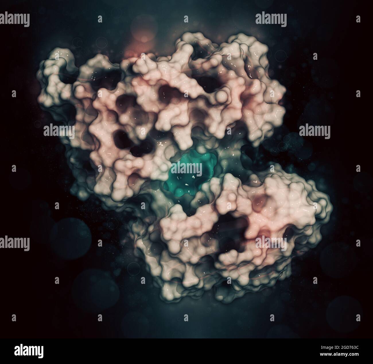 Intrinsic factor (IF) protein. 3D illustration Stock Photo - Alamy