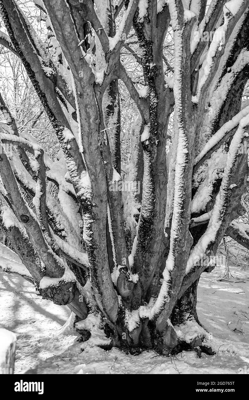 Abstract angles hi-res stock photography and images - Alamy