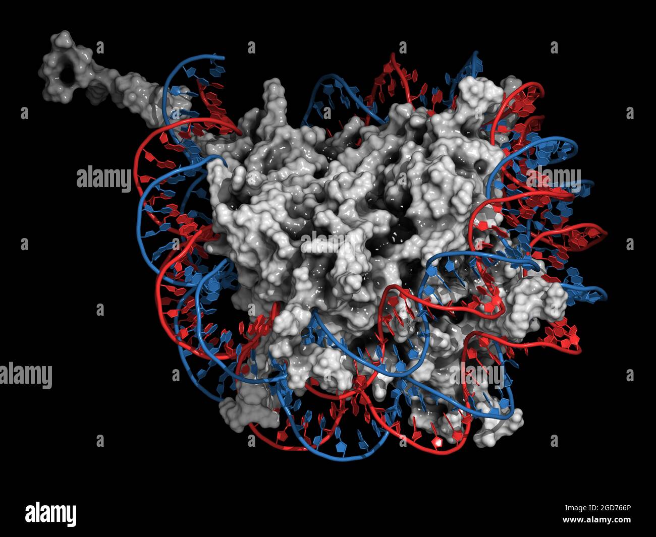 Nucleosome structure hi-res stock photography and images - Alamy