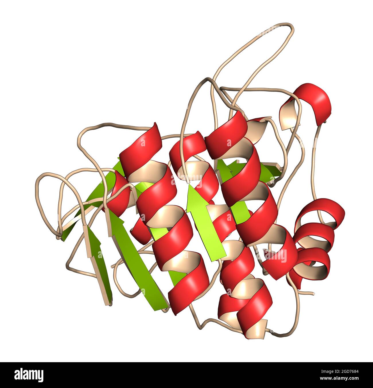 Subtilis natto hi-res stock photography and images - Alamy