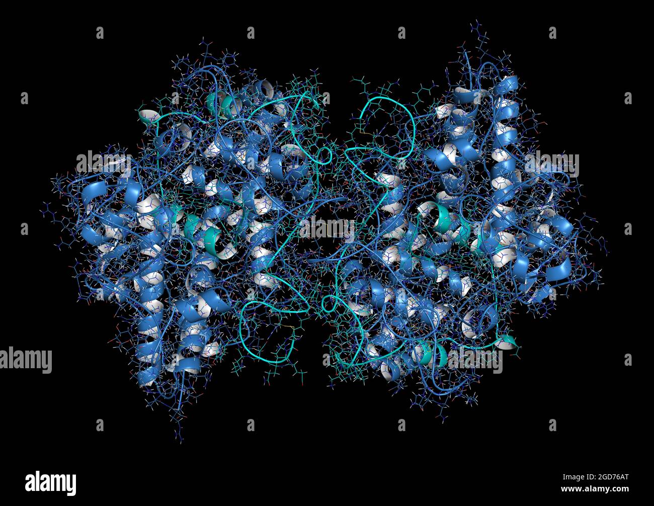 Myeloperoxidase enzyme. 3D Illustration Stock Photo - Alamy